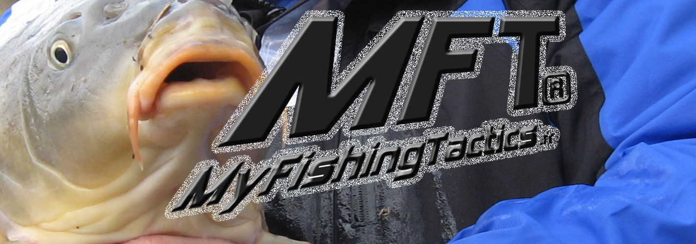 MFT ® - Cannes Black Series