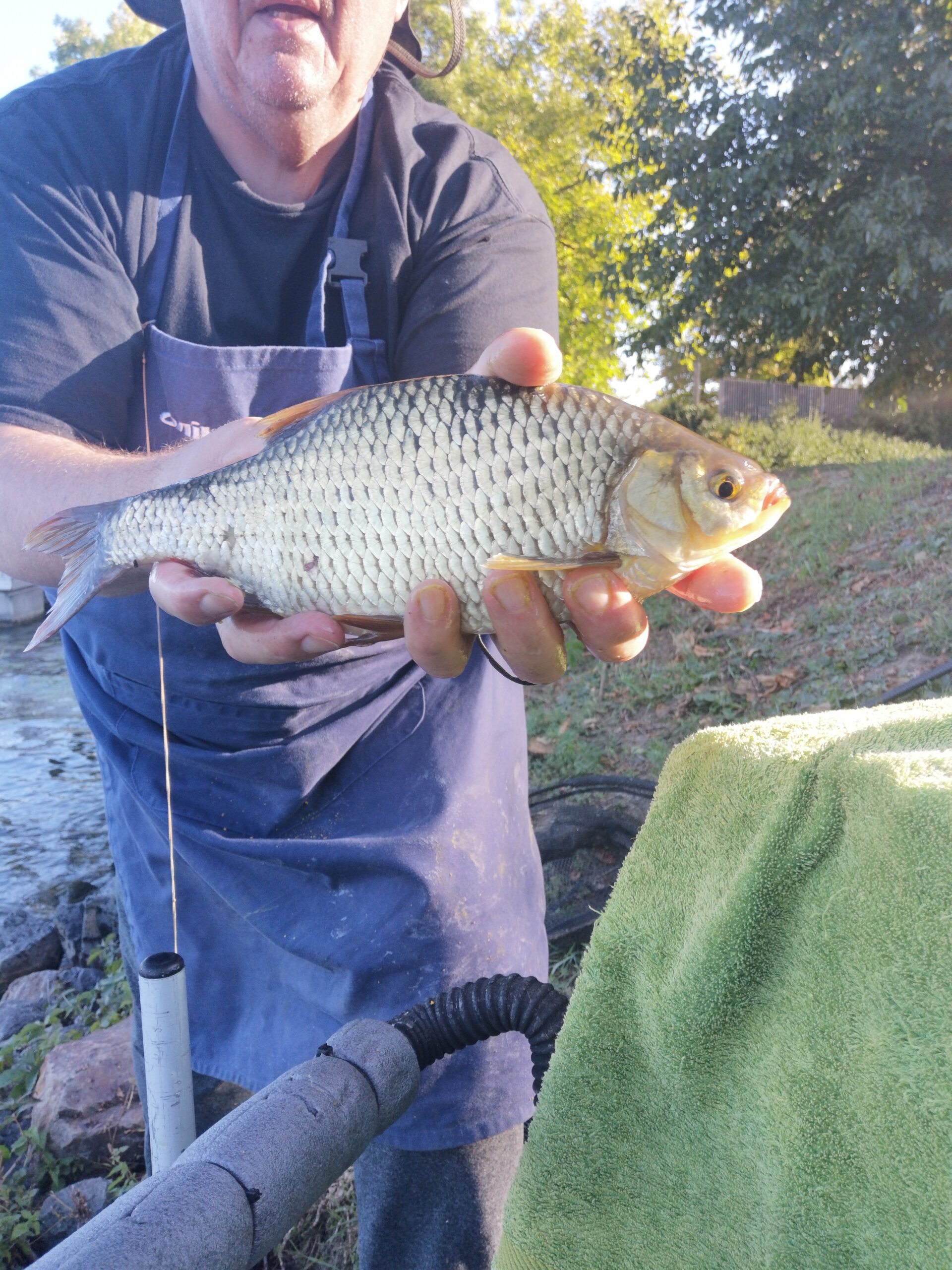 Le Gardon – Bienvenue chez - MFT ® - www.myfishingtactics.fr